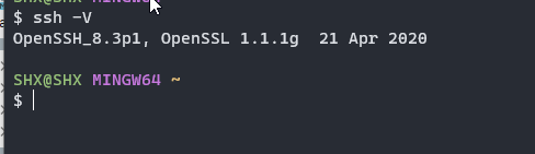 Windows Terminal连接堡垒机 | 渡边